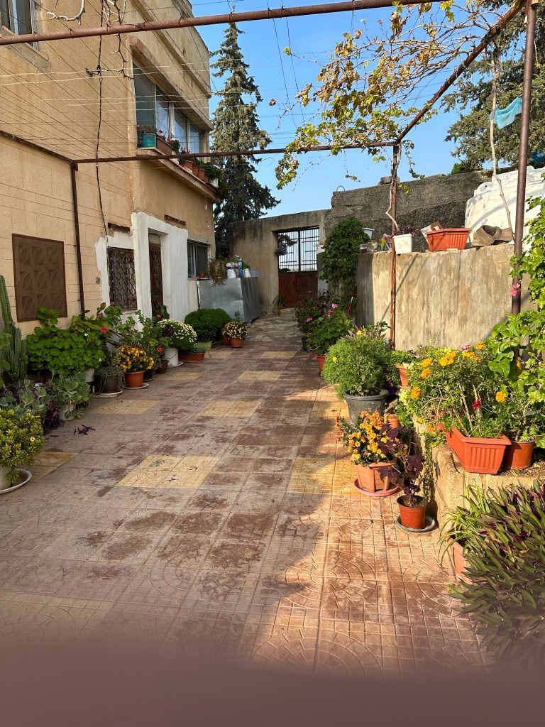 Marbles for Christmas – Middle East Humanitarian Volunteers